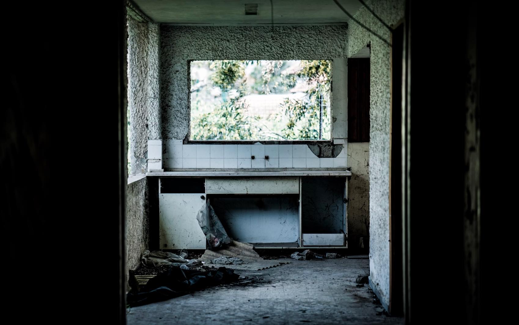 The Invisible Threat: How Mold Impacts Indoor Air Quality and Your Health